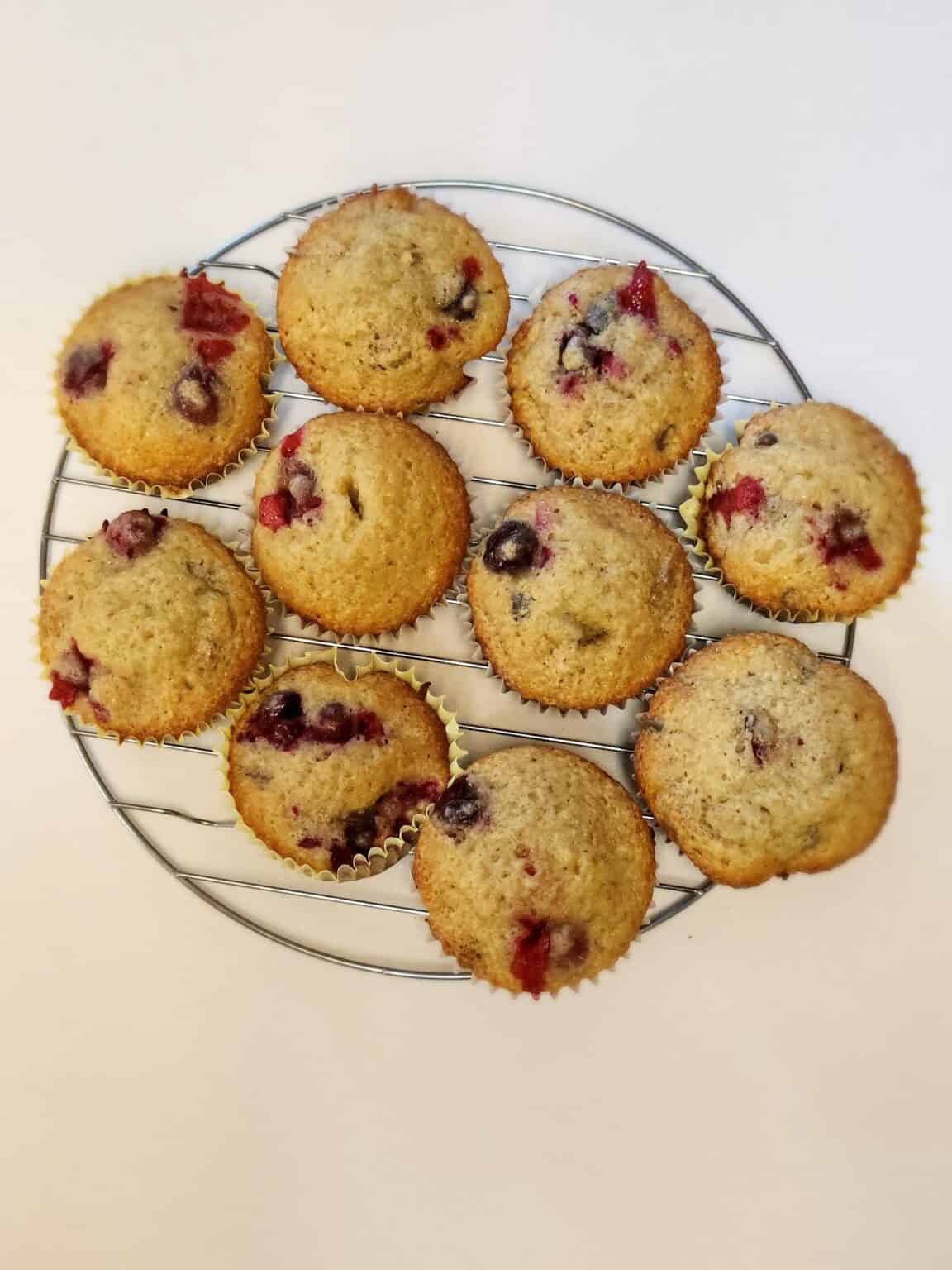 Sweet Cranberry Pecan Chocolate Muffins Recipe! - Frugal Tips and Recipes